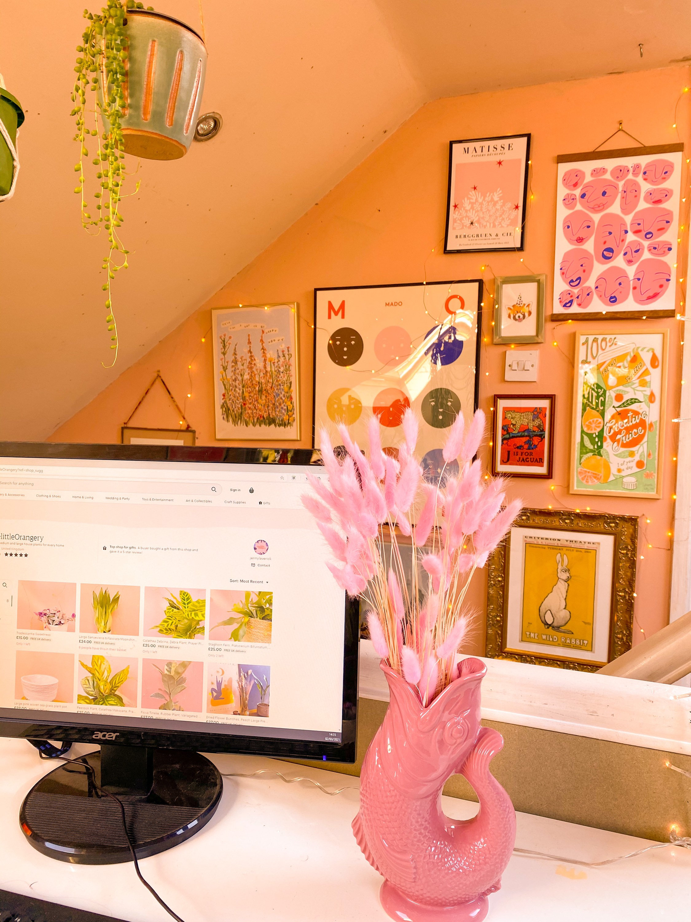 Baby Pink Bunny Tails, Fluffy Bunny Tails Bouquet, Dried Flowers ...