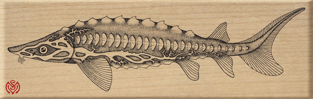 Large Long Snout Fish Rubber Stamp for All Sorts of Crafts Like ...
