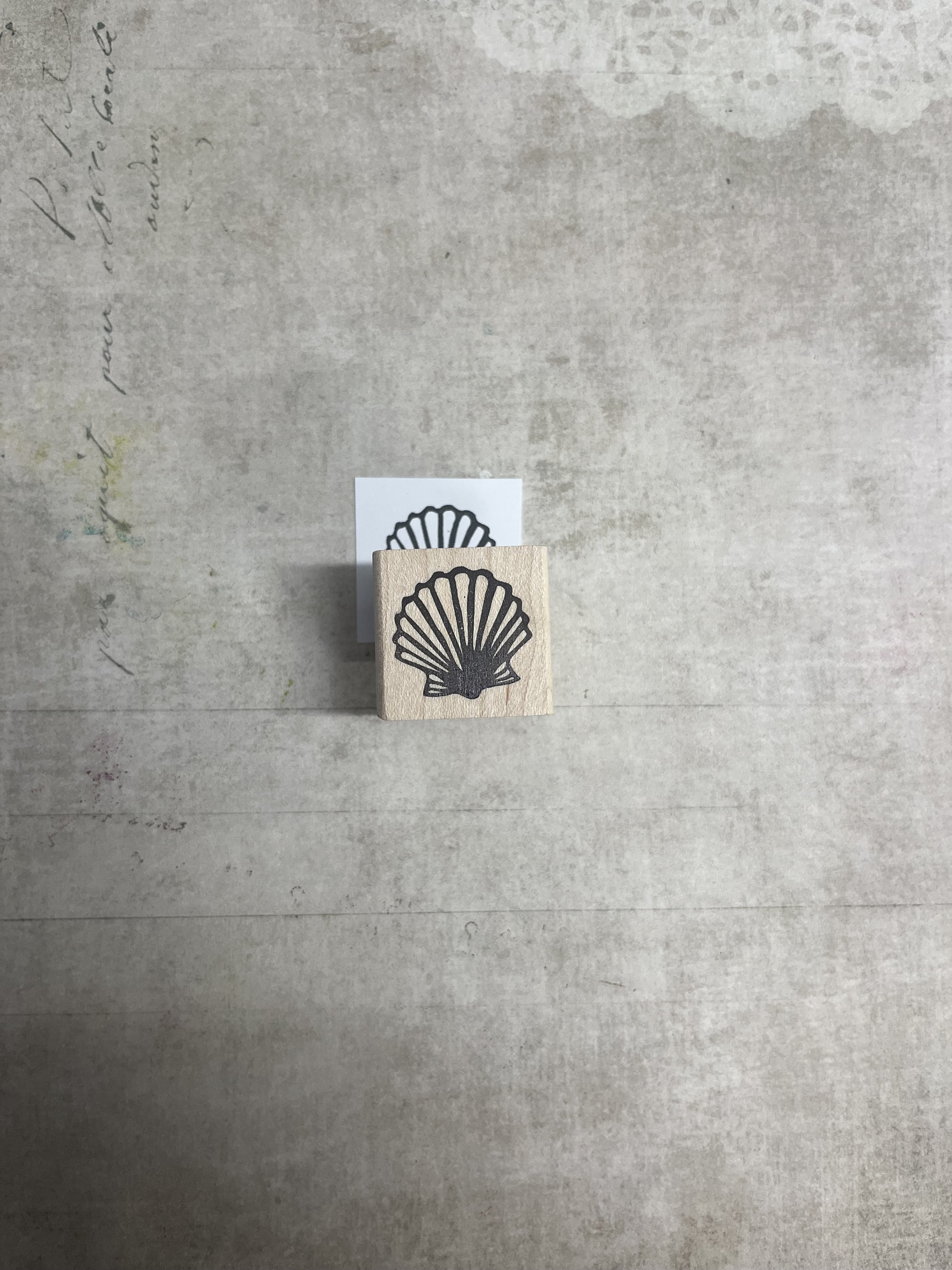 Tiny Scallop Rubber Shell Stamp for Scrapbooking, Journal Entries, Card ...