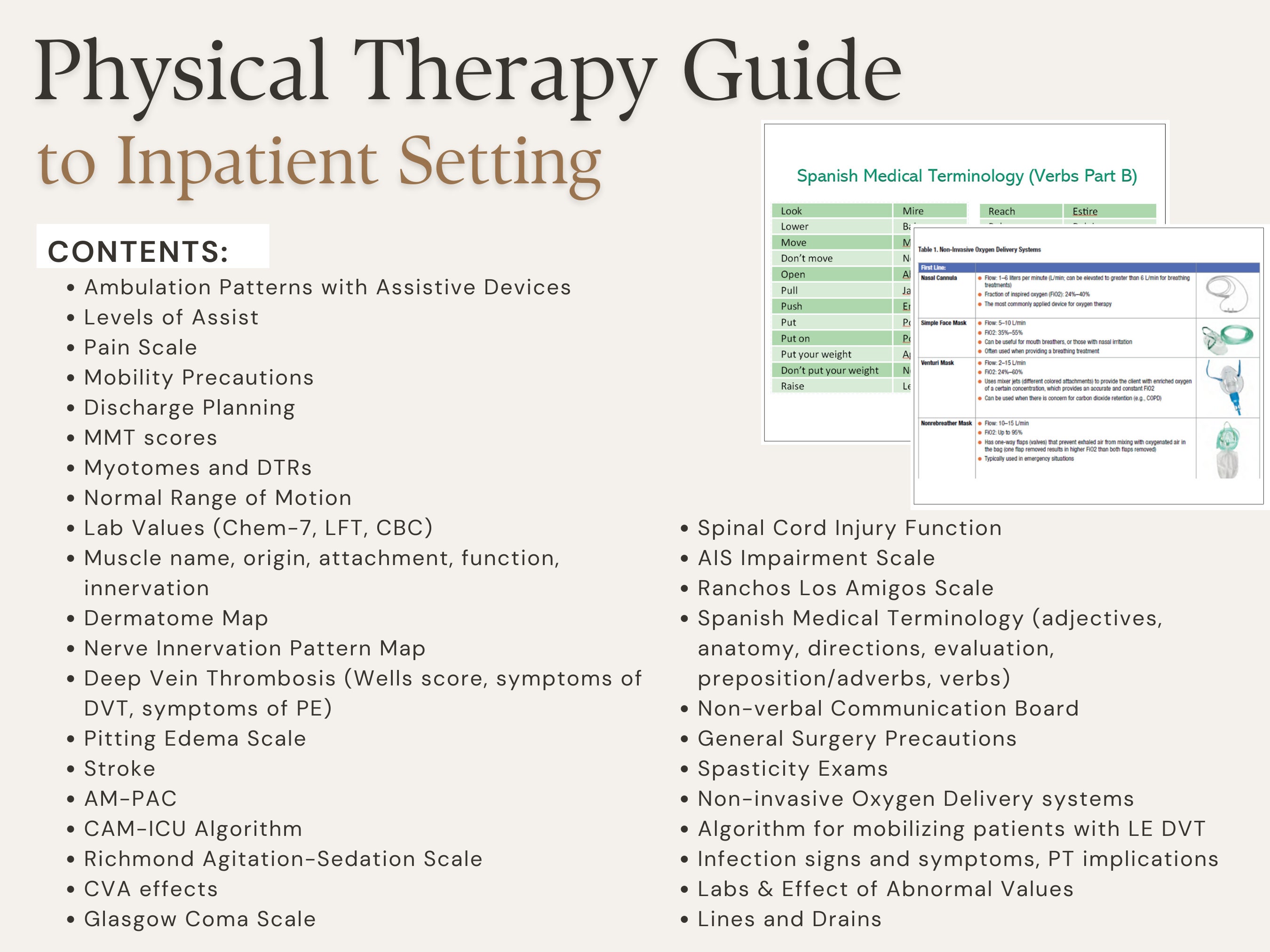 Physical Therapy Guide in the Inpatient Setting (digital Version) - Etsy
