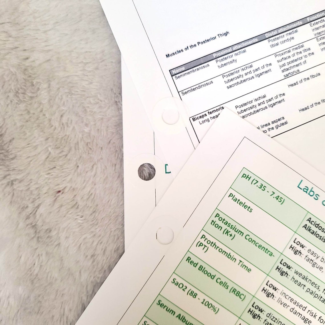 Physical Therapy Guide in the Inpatient Setting | Clinical Pocket ...