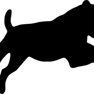 Mandala Puma /mandala Puma PNG JPG SVG/ Printable Mandalas / | Etsy