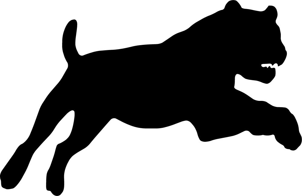 Mandala Puma /Mandala Puma PNG, JPG, SVG/ Mandalas imprimibles ...