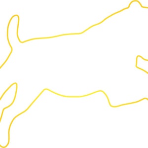 Mandala Puma /mandala Puma PNG, JPG, SVG/ Printable Mandalas / Vector ...