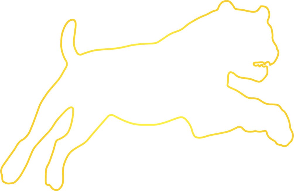 Mandala Puma /mandala Puma PNG, JPG, SVG/ Printable Mandalas / Vector ...