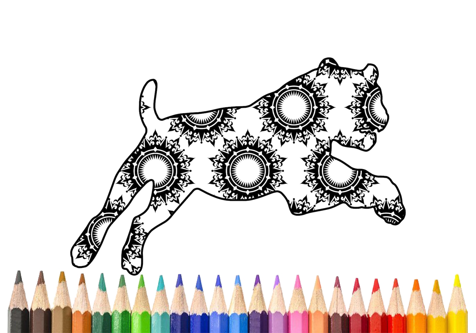 Mandala Puma /mandala Puma PNG, JPG, SVG/ Printable Mandalas / Vector ...