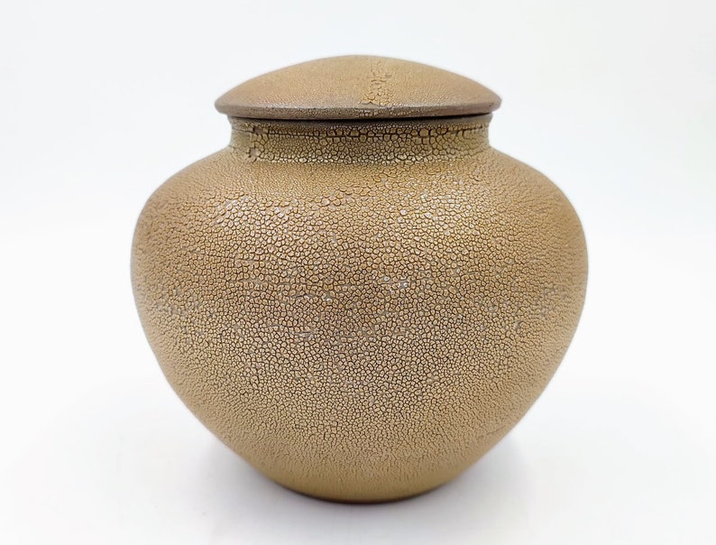 Rare Antique Ryumonji Yaki Tea Jar - Etsy