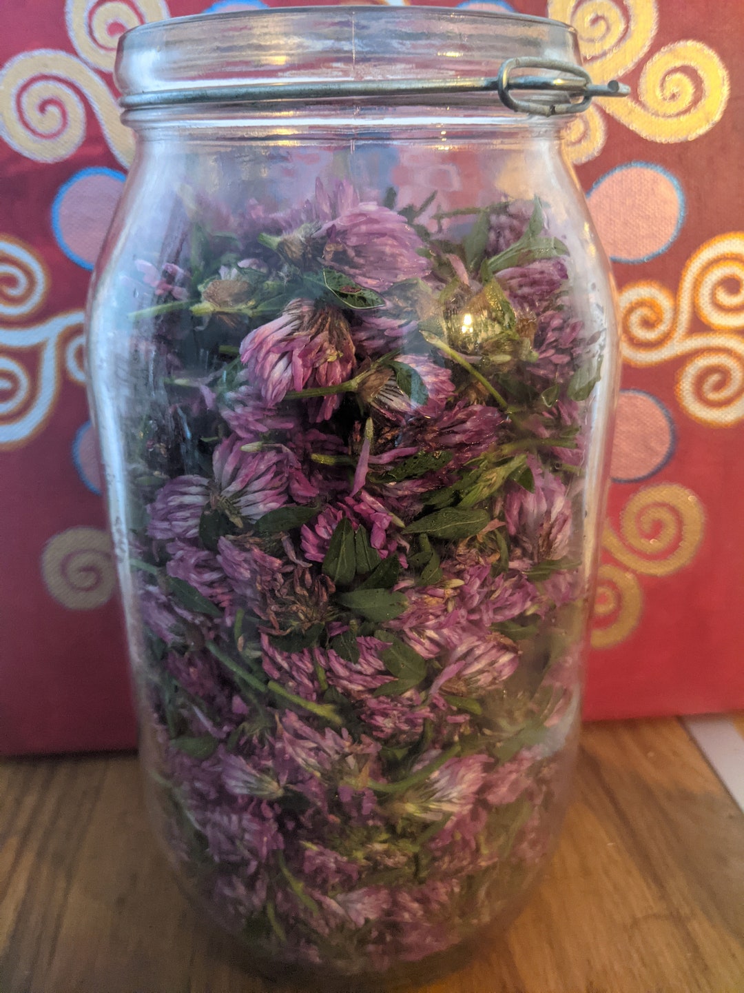 Fresh Red Clover Flower Tincture, 1:2 50% Trifolium Pratense - Etsy