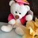 2024 Graduation Teddy Bear/peronalized/customized/keepsake/unique ...