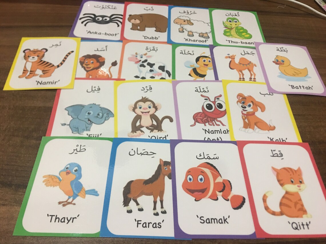 Arabic Animals of the Qur'an Flashcards 18pack Learn - Etsy