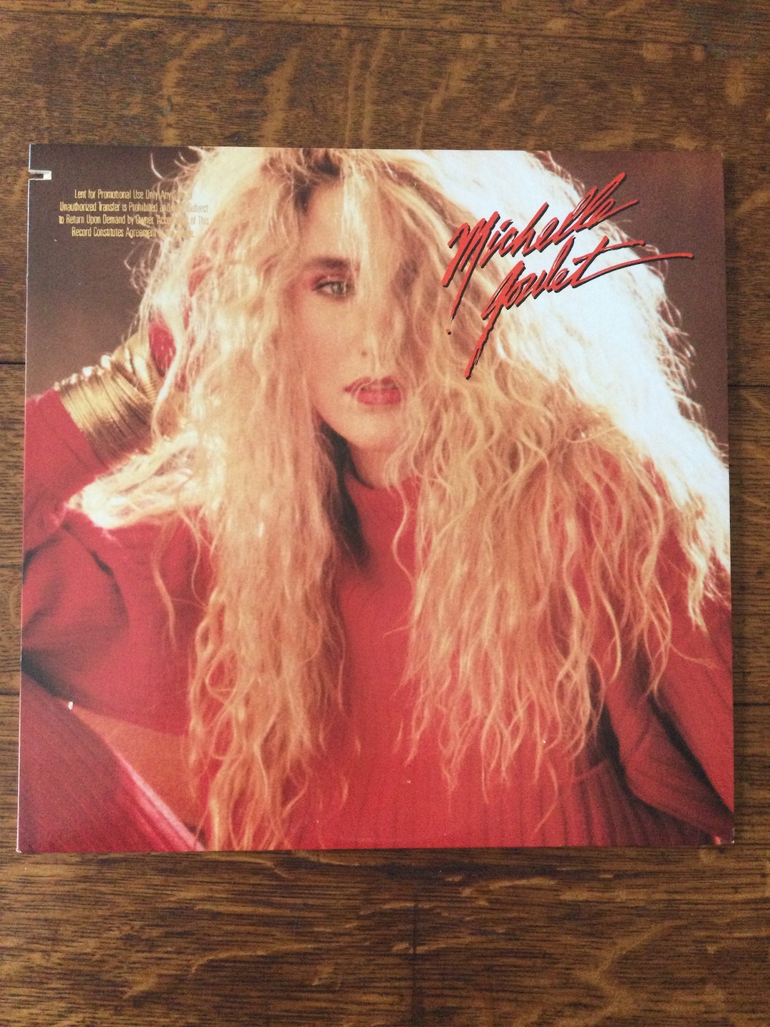 Michelle Goulet Self Titled Stereo Vinyl LP 1986 Island Records 90526-1 ...