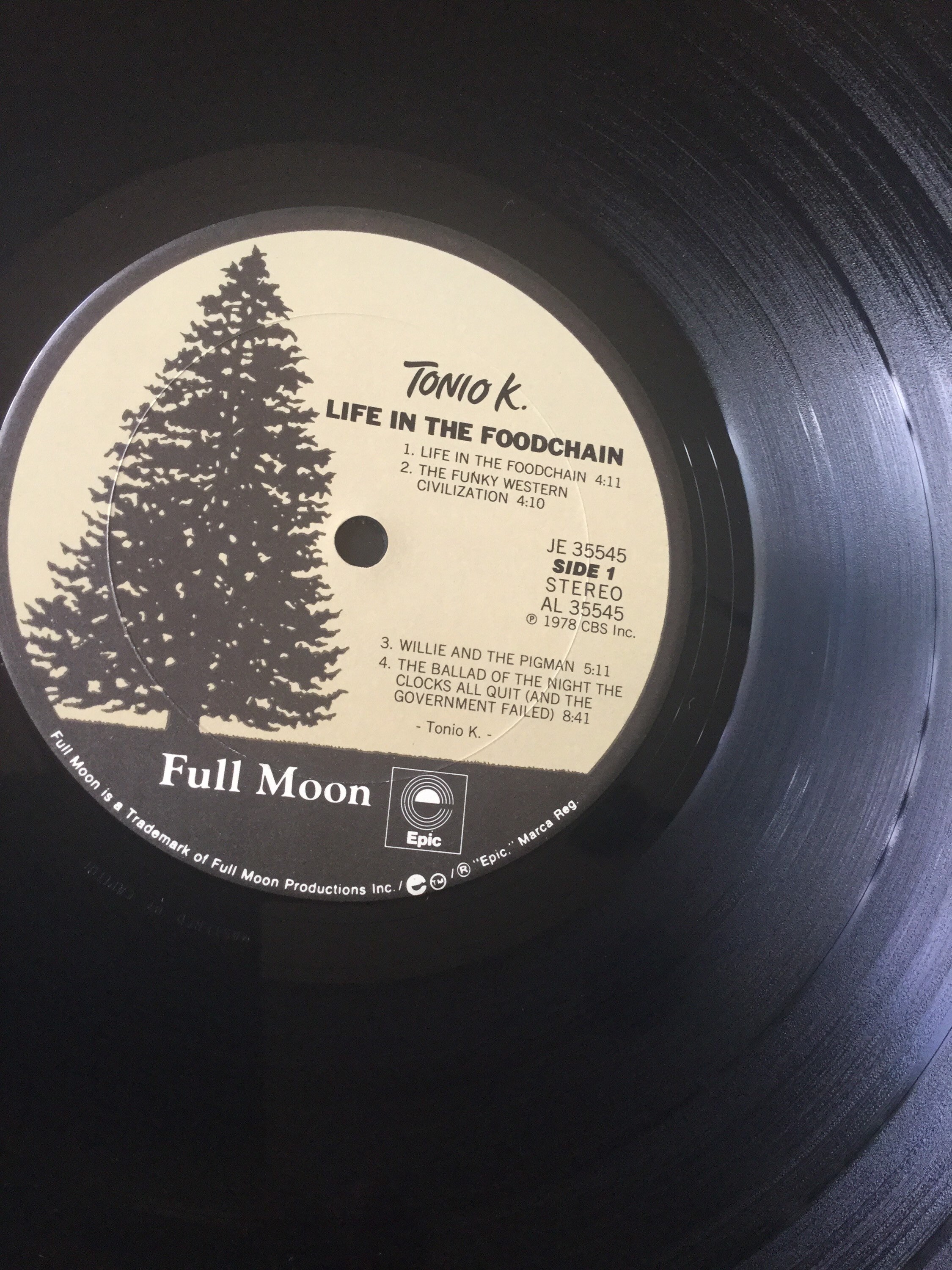 Tonio K Life In The Food Chain Stereo Vinyl LP 1978 Full | Etsy