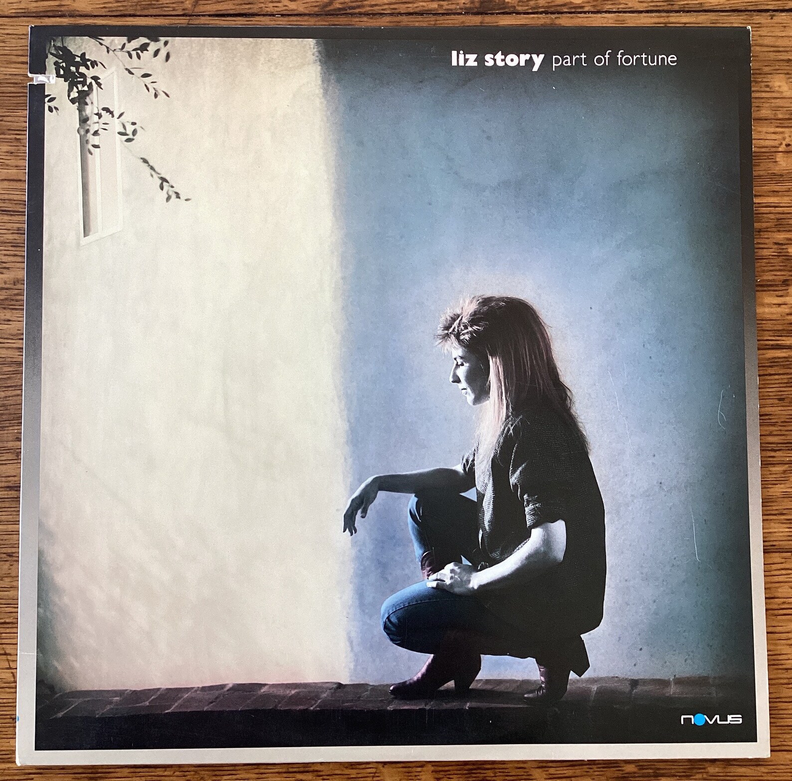 Liz Story Part of Fortune Stereo Vinyl LP 1986 Novus Records 3001-1-N ...