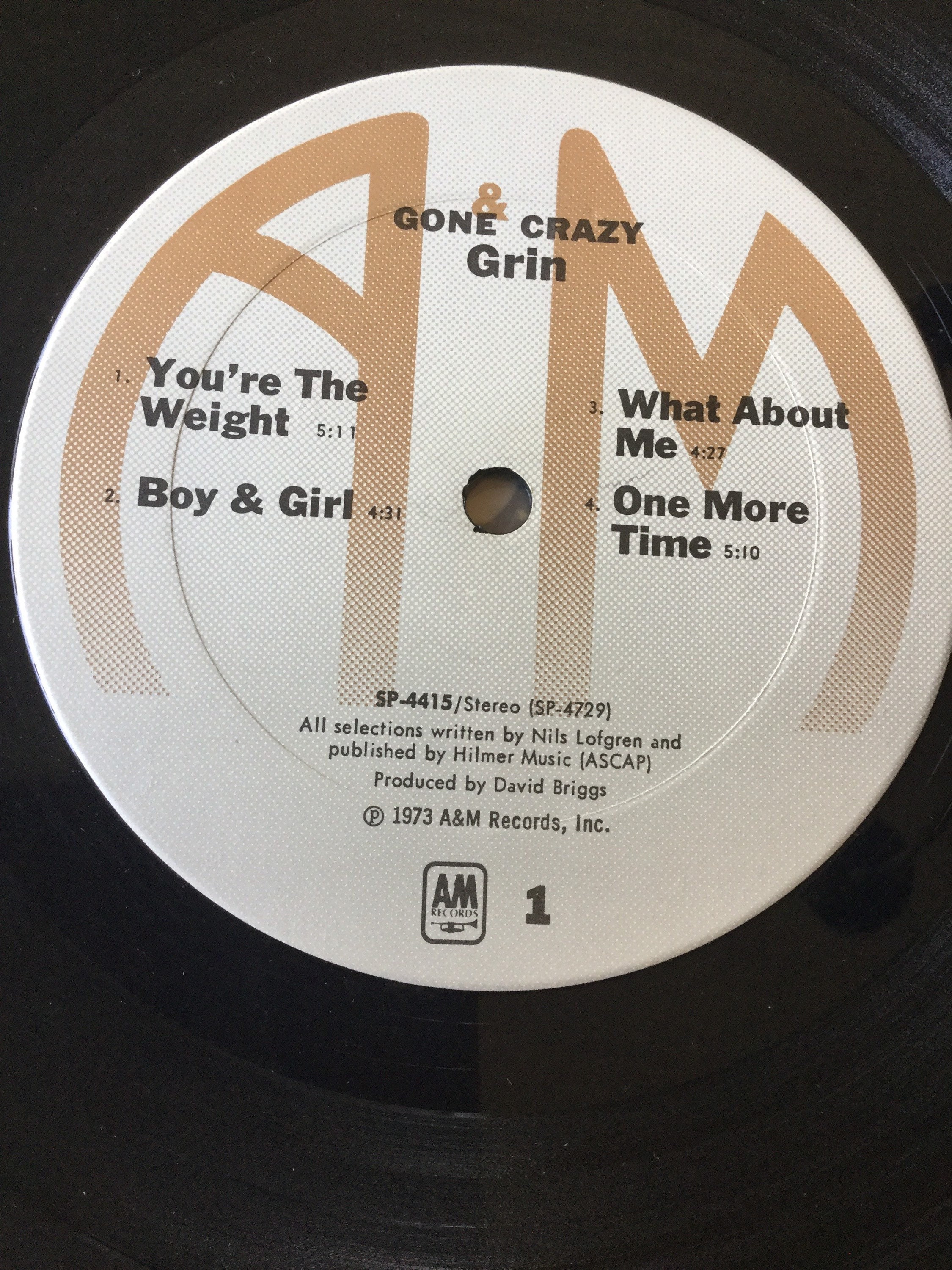 Grin Gone Crazy Nils Lofgren Stereo Vinyl LP 1973 A&M Records | Etsy