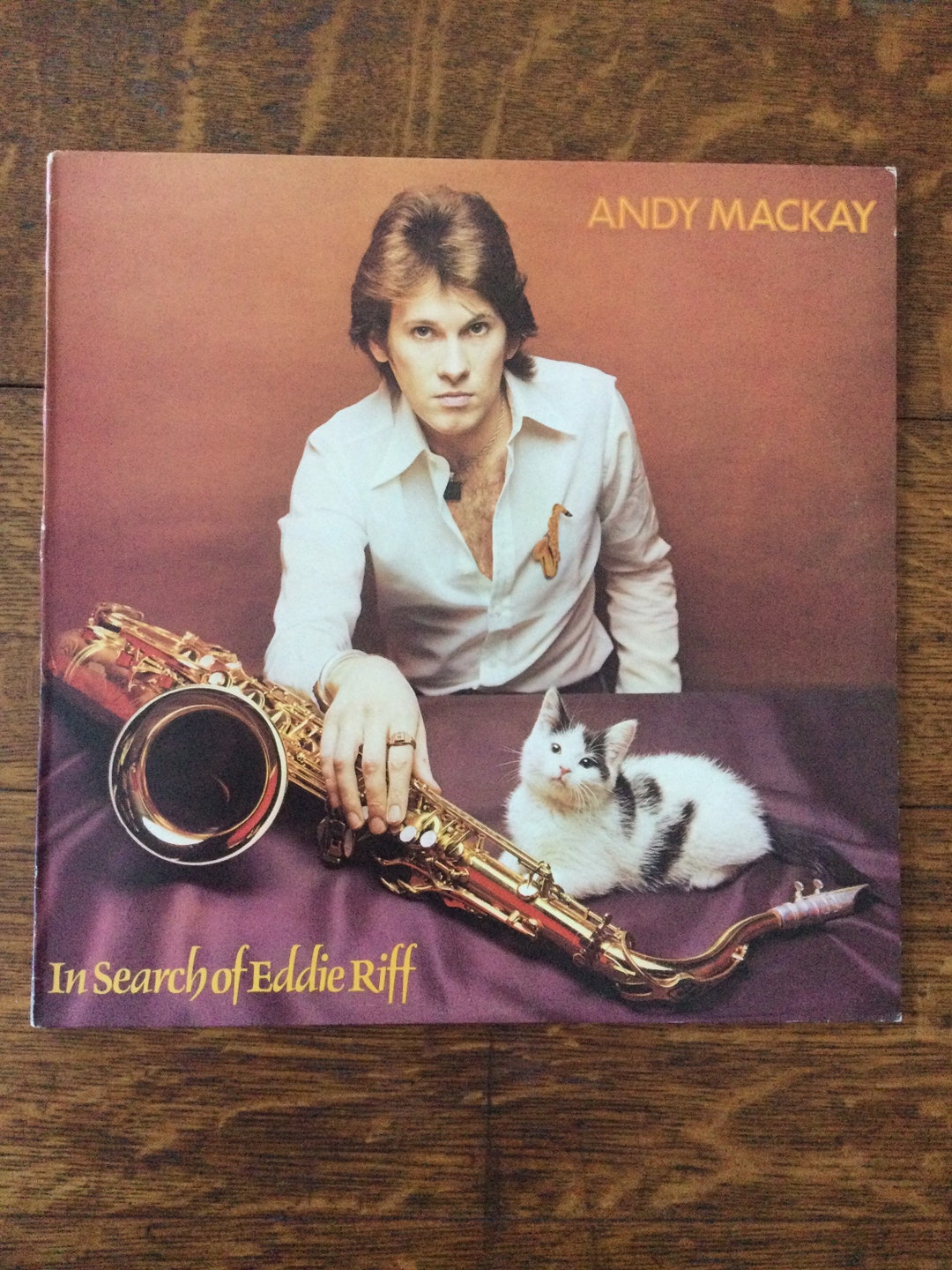 Andy Mackay in Search of Eddie Riff Vinyl Stereo LP 1974 Island Records ...