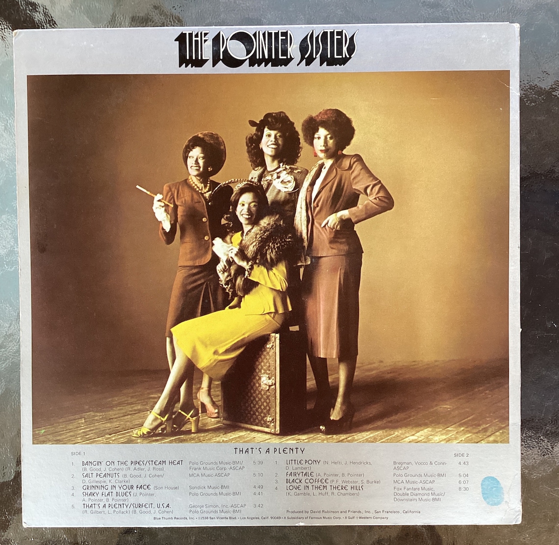 The Pointer Sisters Thats A Plenty Stereo Vinyl LP 1974 Blue - Etsy