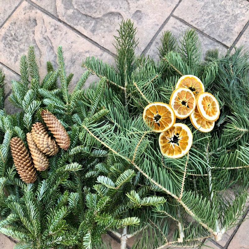 Fresh Evergreen Cuttings - Etsy