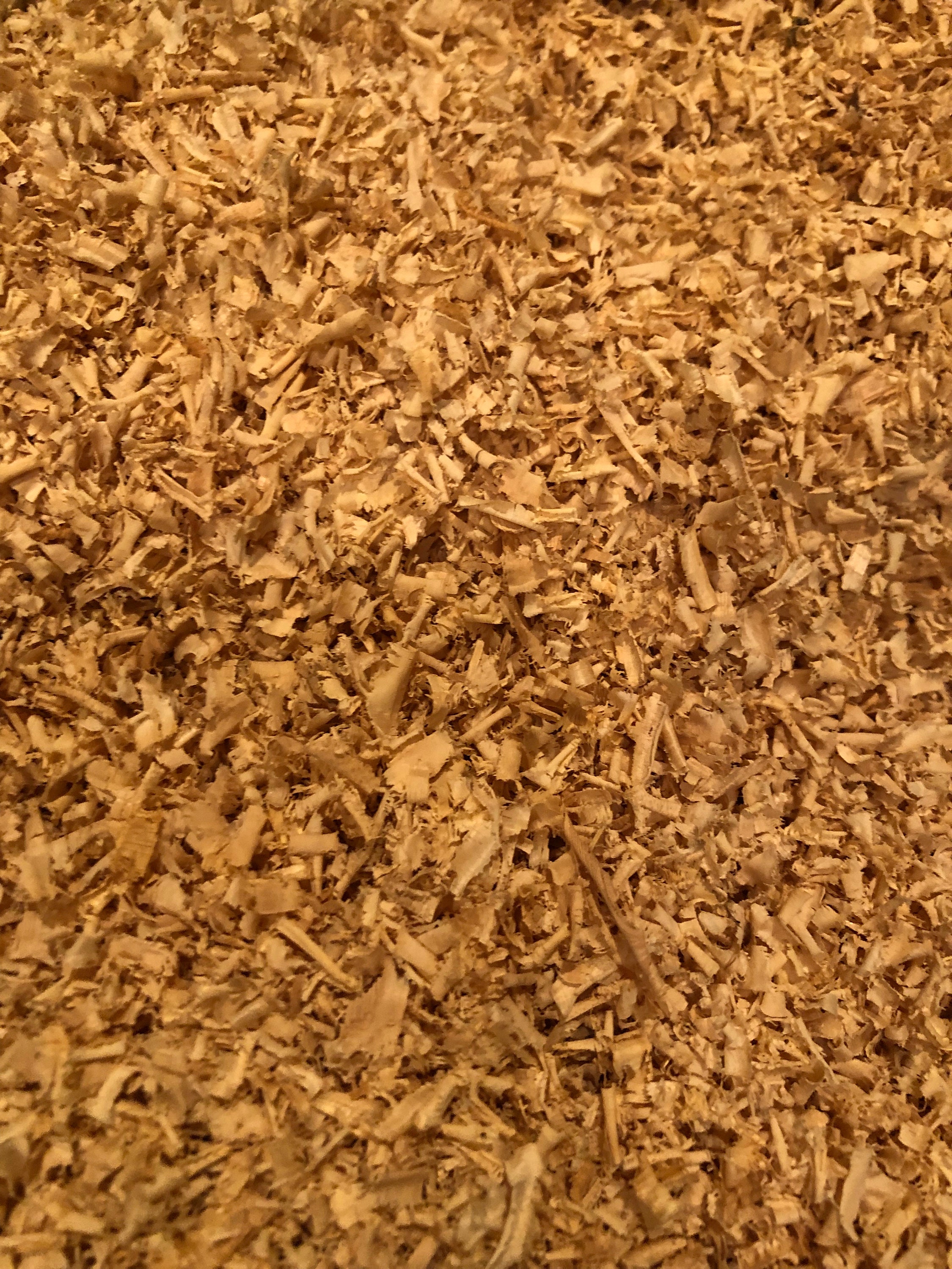 1/2 Pound Wood Shavings Mixed Hardwood and Softwood - Etsy