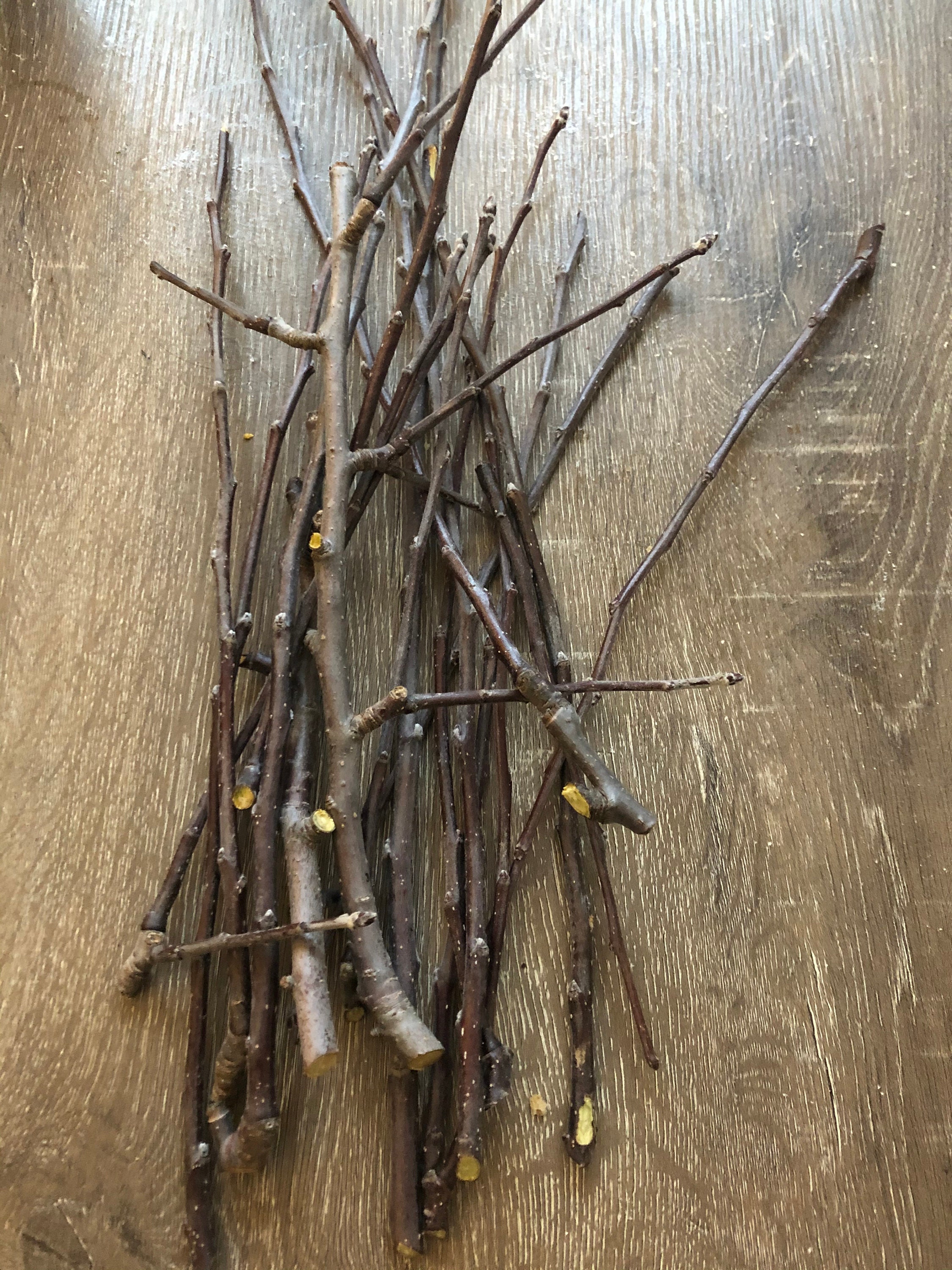 Wooden Twigs For Decoration