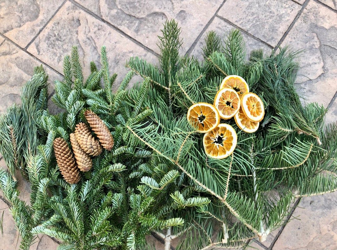 Assorted Evergreen Christmas Boughs With Cones and Dried Oranges - Etsy