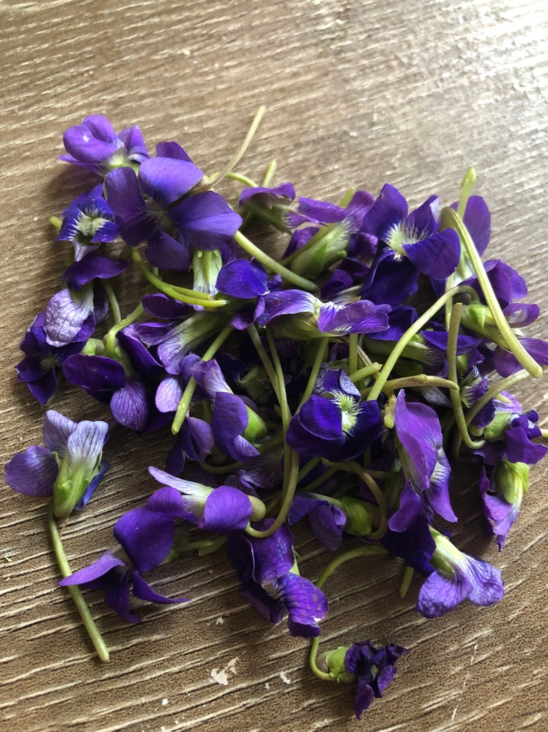8 Grams Dried Organic Violets - Etsy