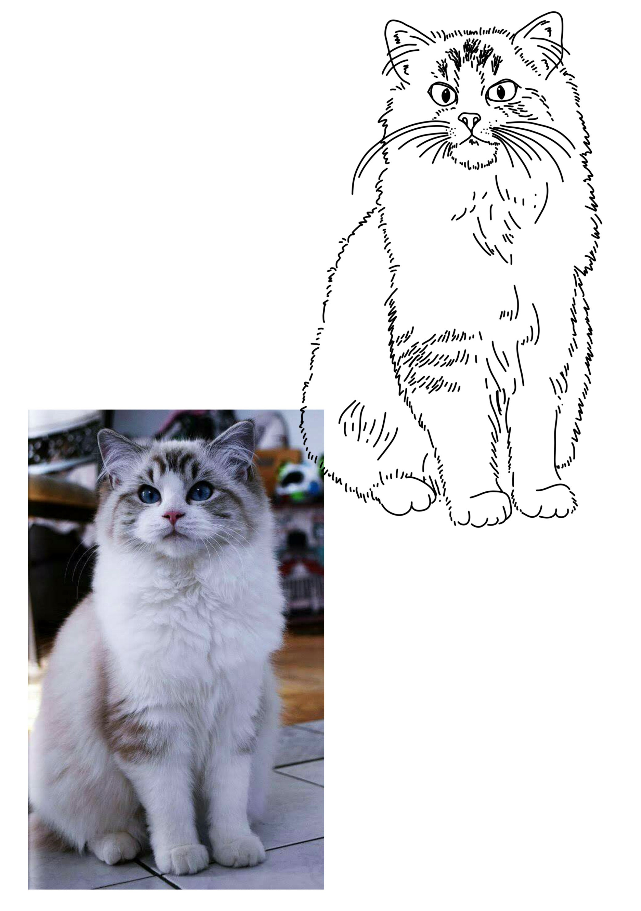 Custom Pet Animals Line Drawingcustom Illustration - Etsy