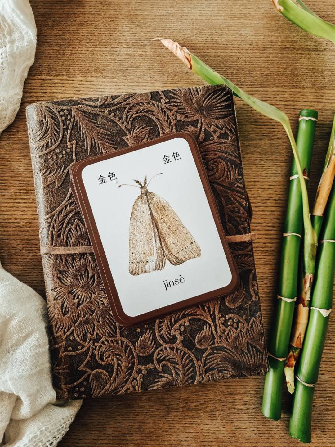 Mandarin Colors and Shapes | Digital Download, Simplified, Traditional ...