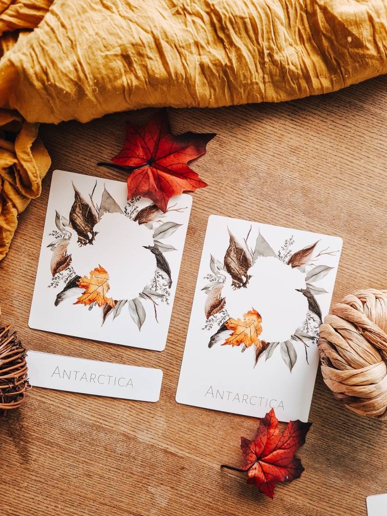 Into Autumn - Fall Themed Bundle for Early Learners | Digital Download ...