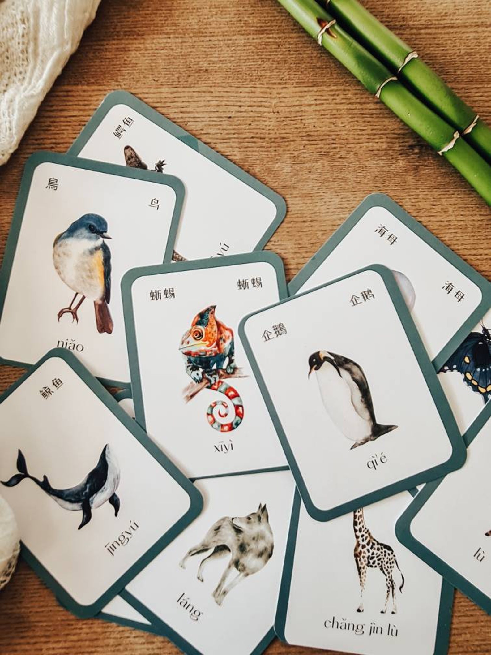 Mandarin Animals | Digital Download, Flashcards, - Etsy