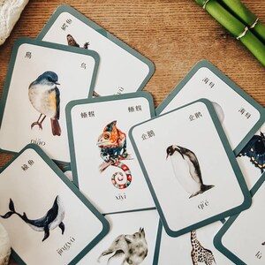 Mandarin Animals | Digital Download, Flashcards, - Etsy