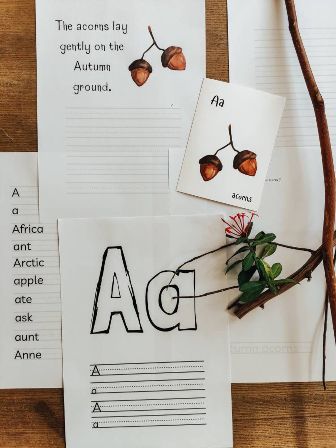 Alphabet Forest Study Unit Digital Download woods | Etsy