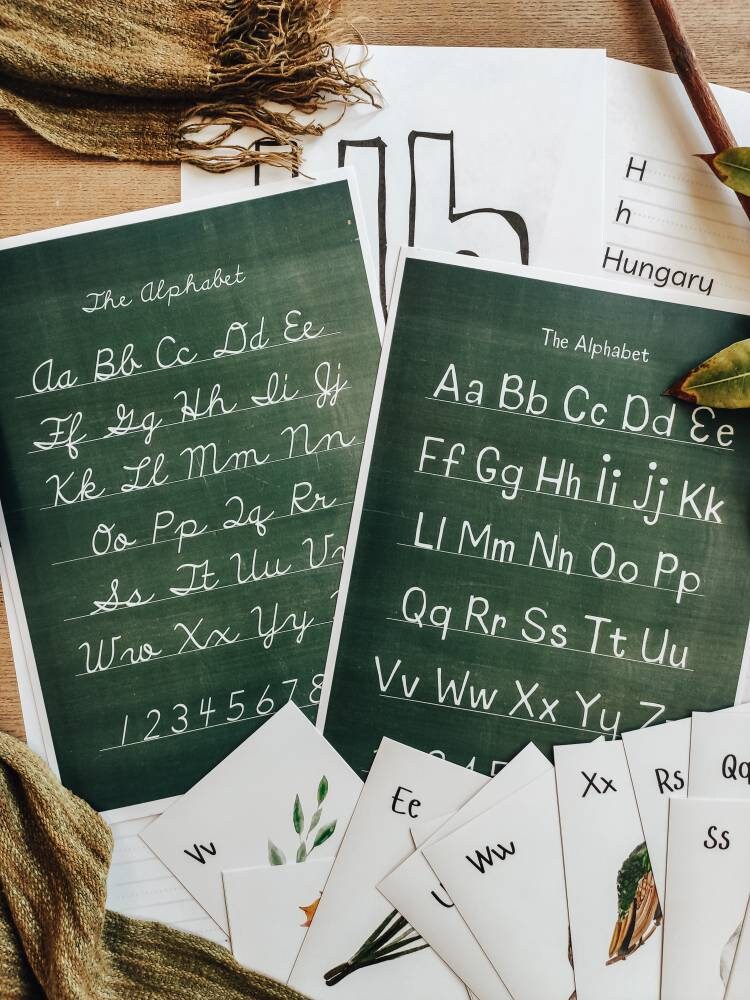 Alphabet Forest Study Unit Digital Download woods | Etsy