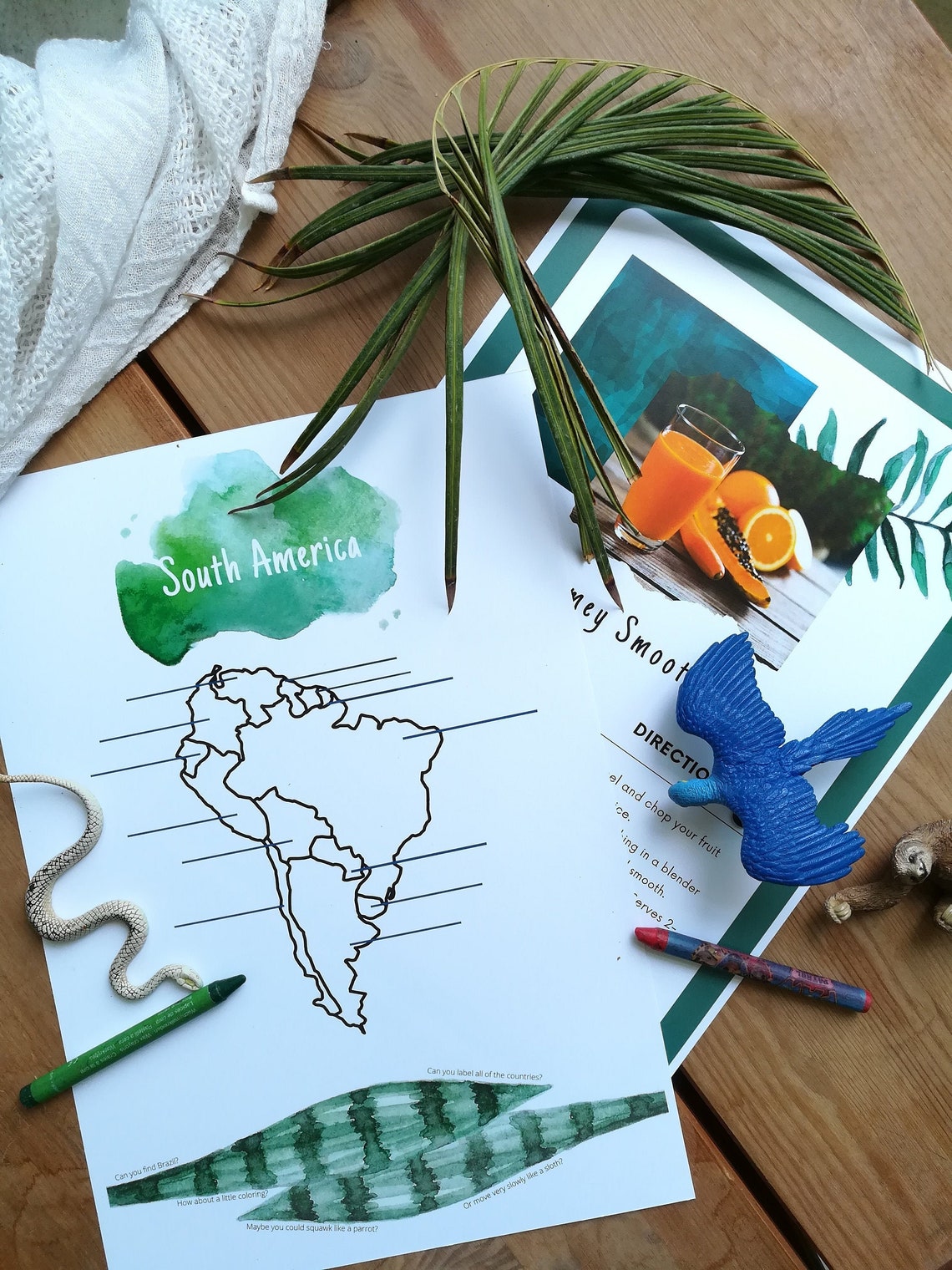 Brazil Study Unit + Digital Bundle - Charlotte Mason, Homeschool ...