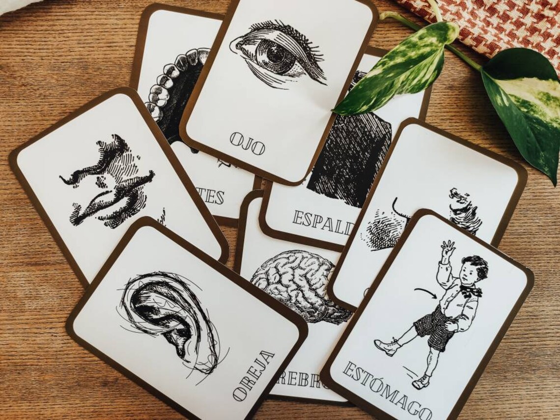 Spanish Human Body Flashcards Digital Download Español | Etsy