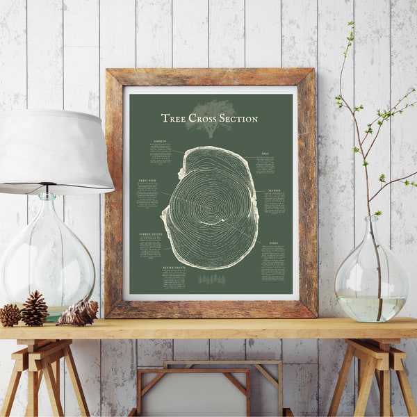 Cross Section - Etsy