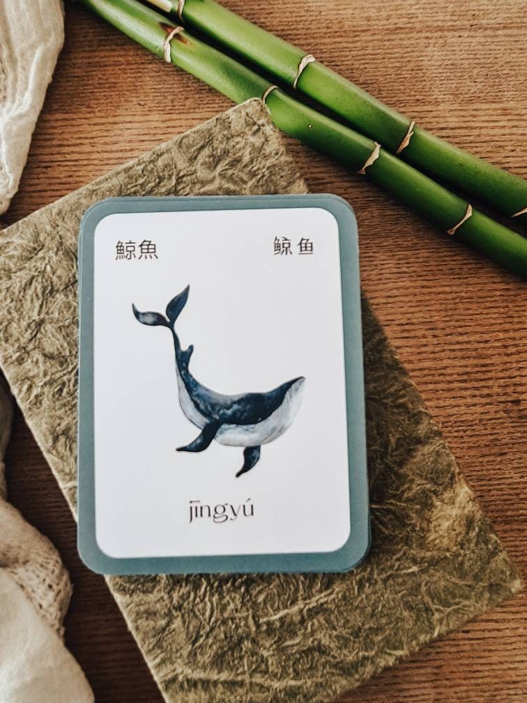 Mandarin Animals | Digital Download, Flashcards, - Etsy