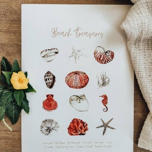 Australia Study Unit | Digital Download, Great Barrier Reef, Homeschool ...