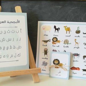 Arabic Alphabet Flashcards - Digital Print + Flashcards, Arabic ...