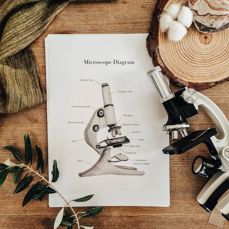Printable Microscope Guide Digital Download Science - Etsy