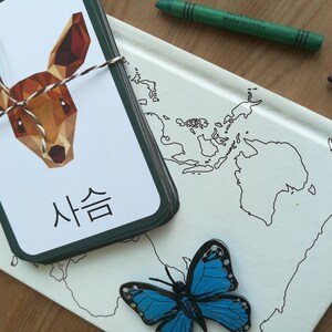Korean Animal Flashcards - Etsy