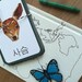 Korean Animal Flashcards - Etsy