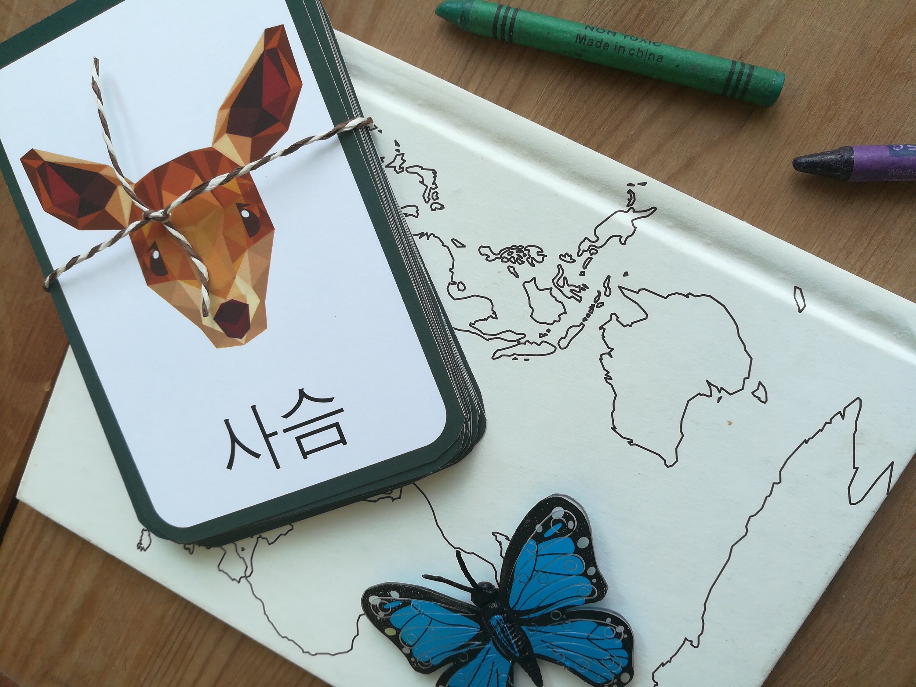 Korean Animal Flashcards - Etsy