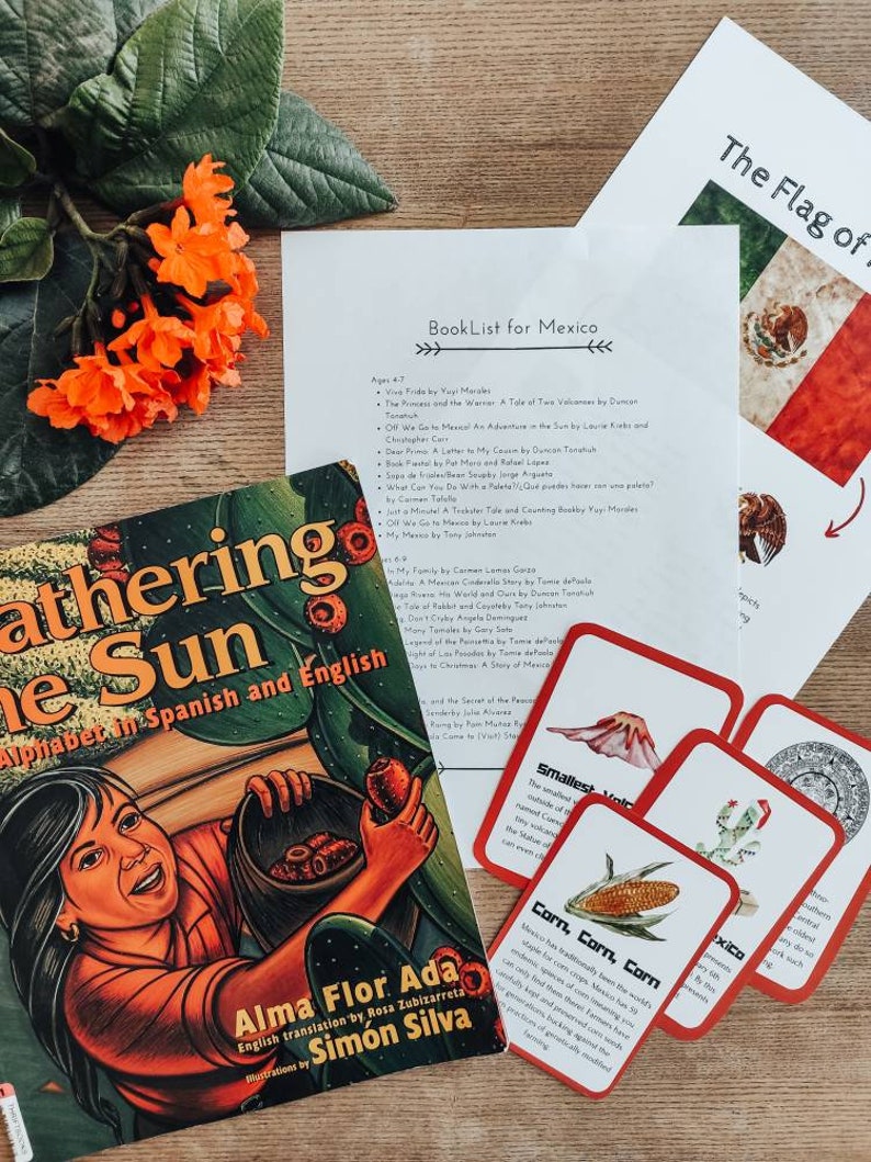 Mexico Study Unit Digital Download Mexican Country - Etsy