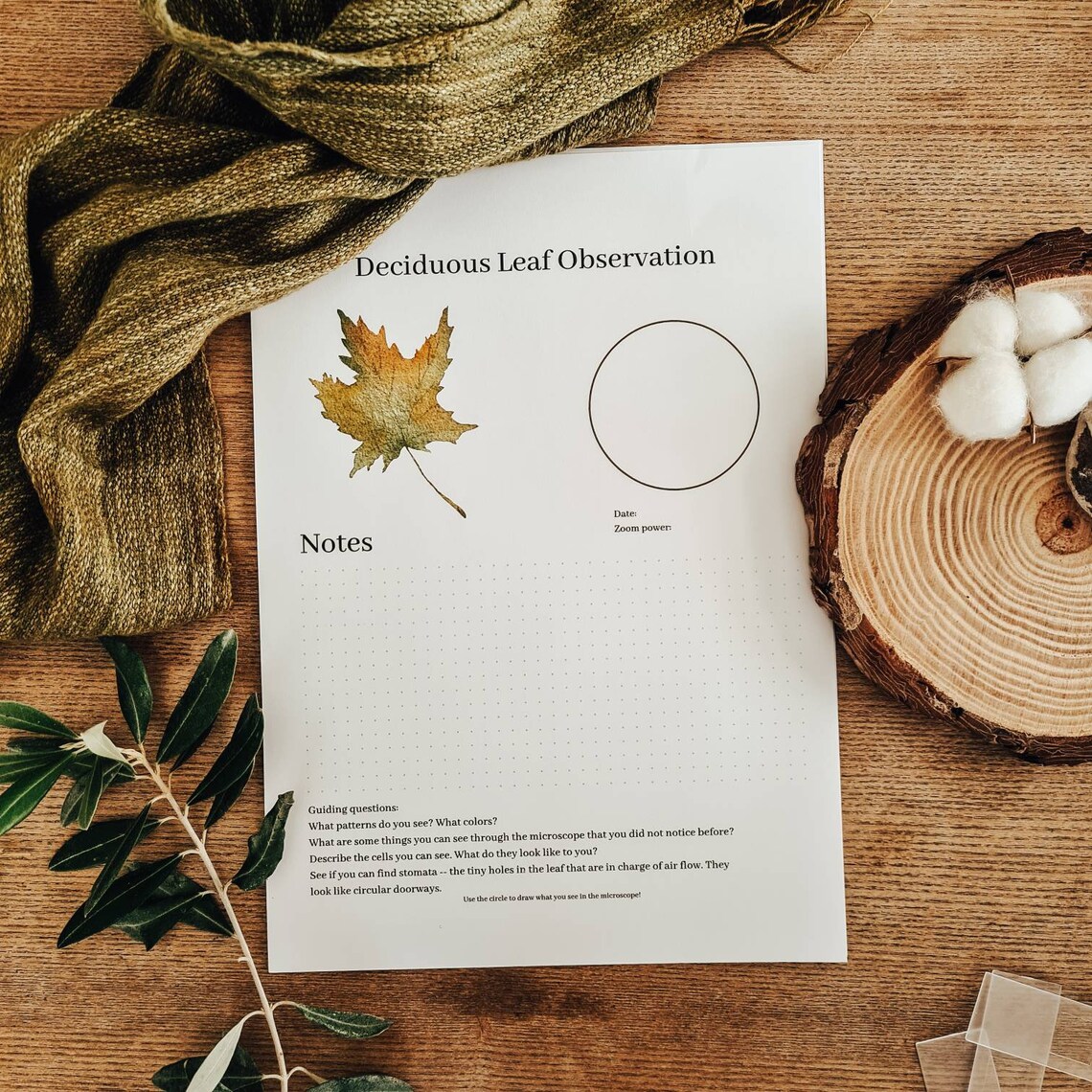 Printable Microscope Guide Digital Download Science - Etsy