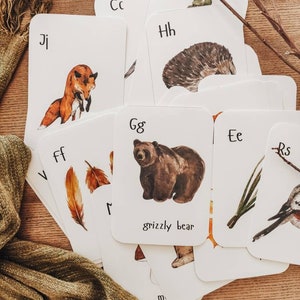 Forest Alphabet Flashcards | Digital Download, Woodland, Watercolor ...