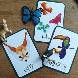 Korean Animal Flashcards - Etsy