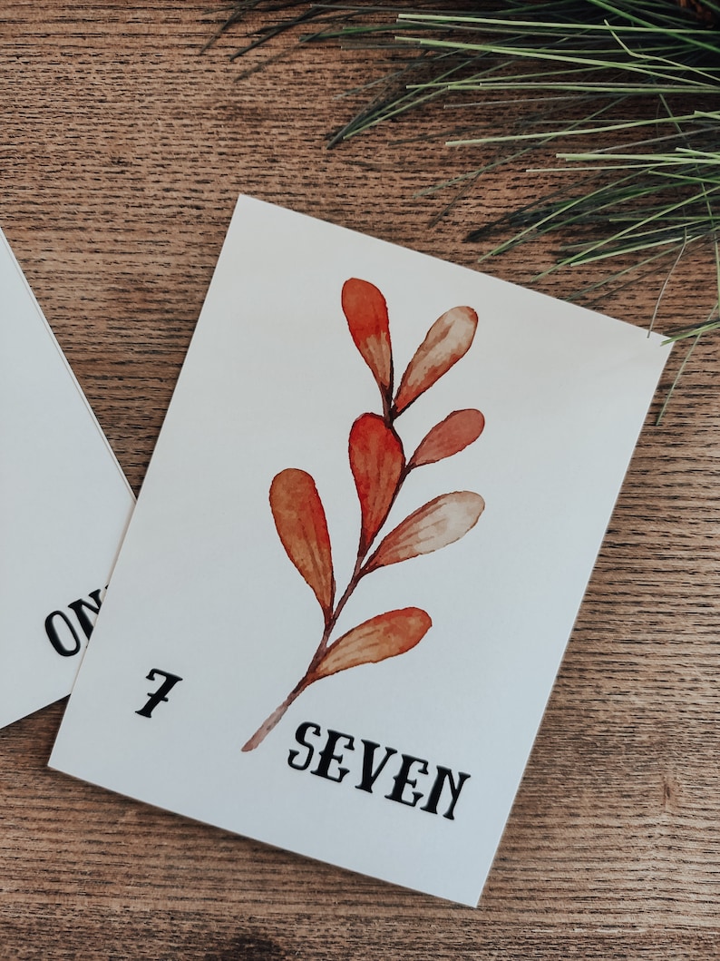 Forest Number Flashcards Digital Download Nature - Etsy