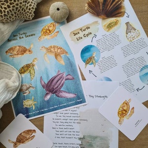 Sea Turtle Unit | Digital Download, Marine Animals, Ocean Unit, Teacher ...