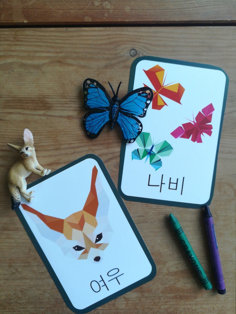 Korean Animal Flashcards - Etsy