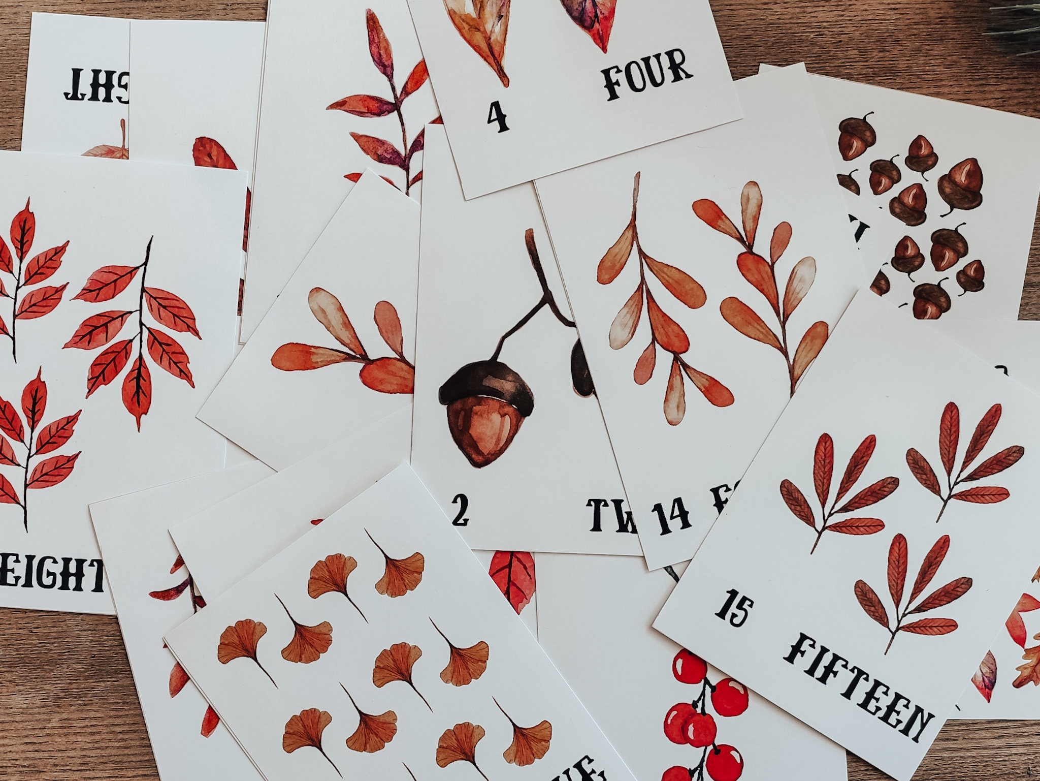 Forest Number Flashcards Digital Download Nature - Etsy